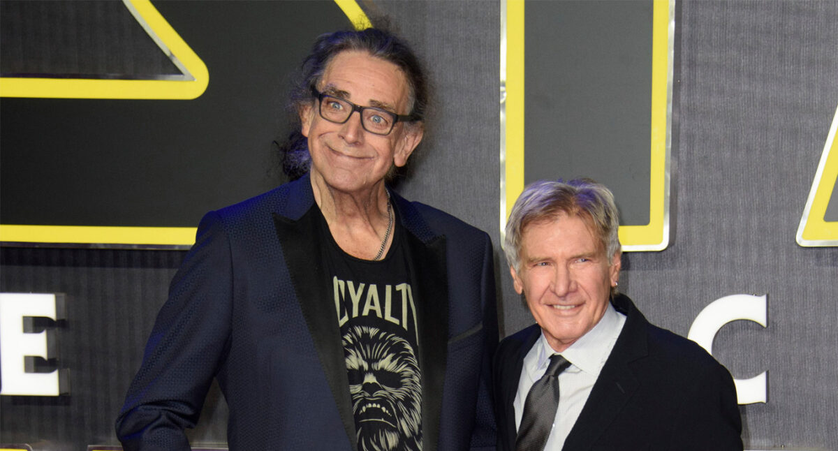 Star Wars actor Peter Mayhew has passed away aged 74 - Get Your Comic On